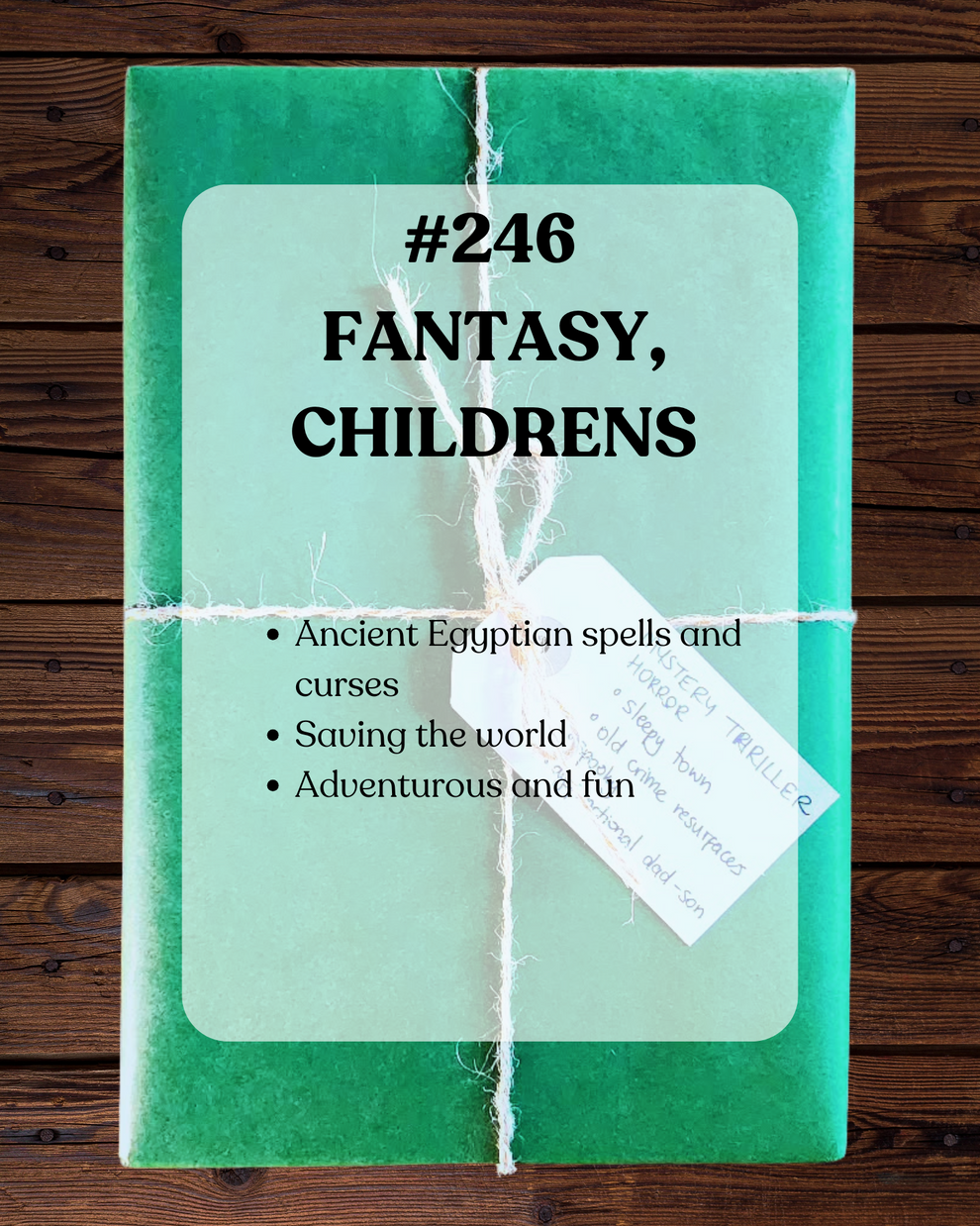 Book 246 - Fantasy, Childrens – The Sheet Mask Book Club